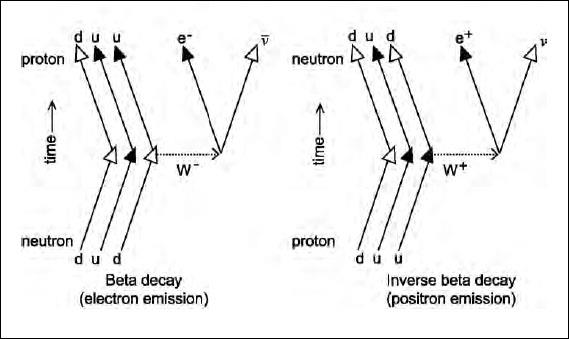 Beta decay involves neutrons, protons, electrons, and neutrinos. How is it explained using ...